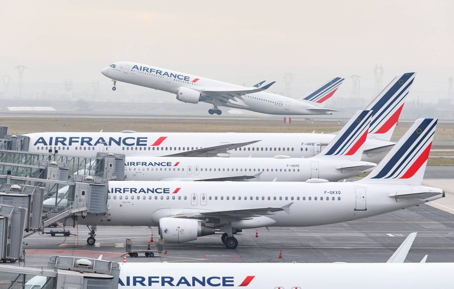 Paris Disney Magic Transfer - Private Transfers From CDG to Disneyland